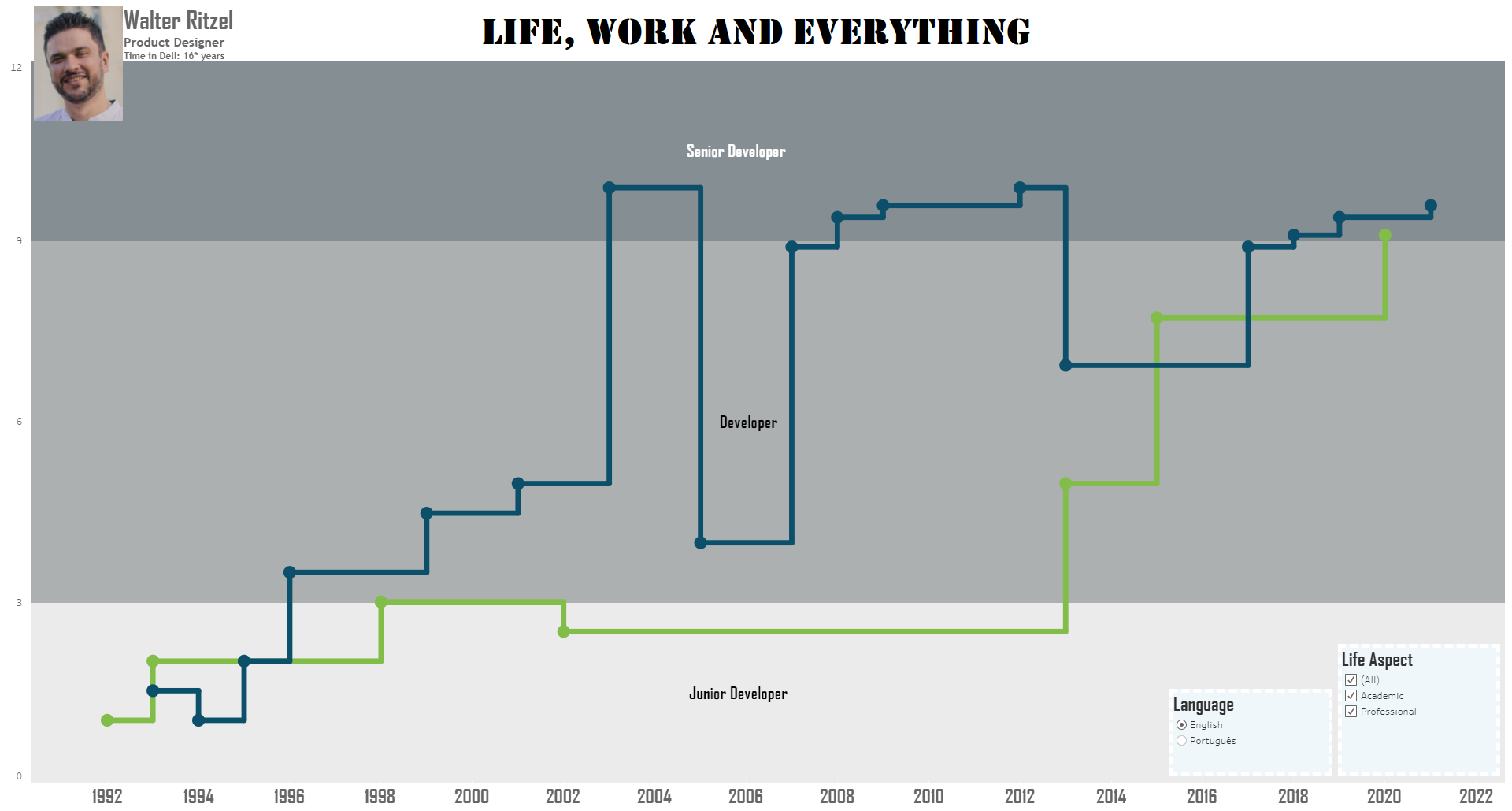 How I Used Data Visualization to Showcase My Career Trajectory ...