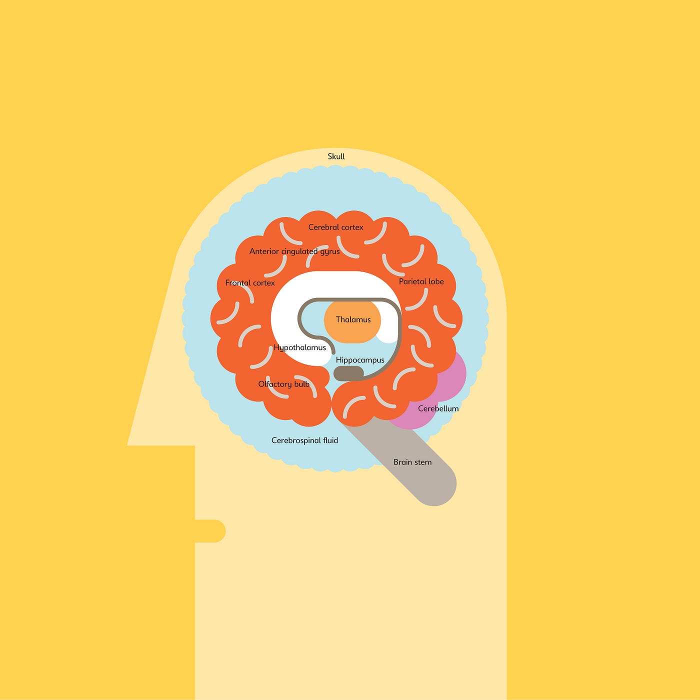 Peter Grundy on Informative, Fun, and Elegant Design | Nightingale
