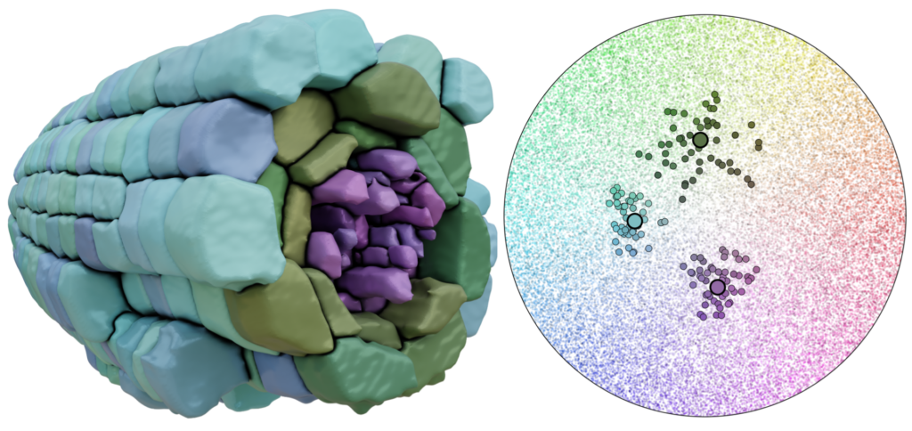 Color Jitter: Using Randomness to Augment Categorical Visualizations ...